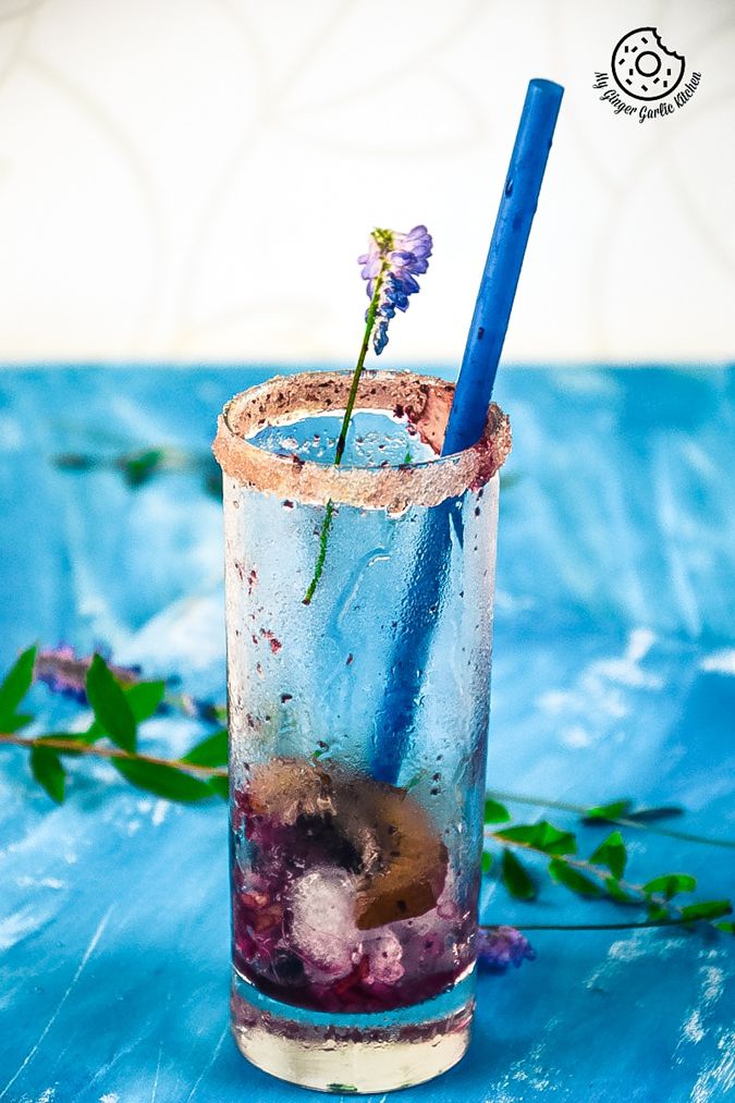 Blueberry Kiwi Cooler | My Ginger Garlic Kitchen
